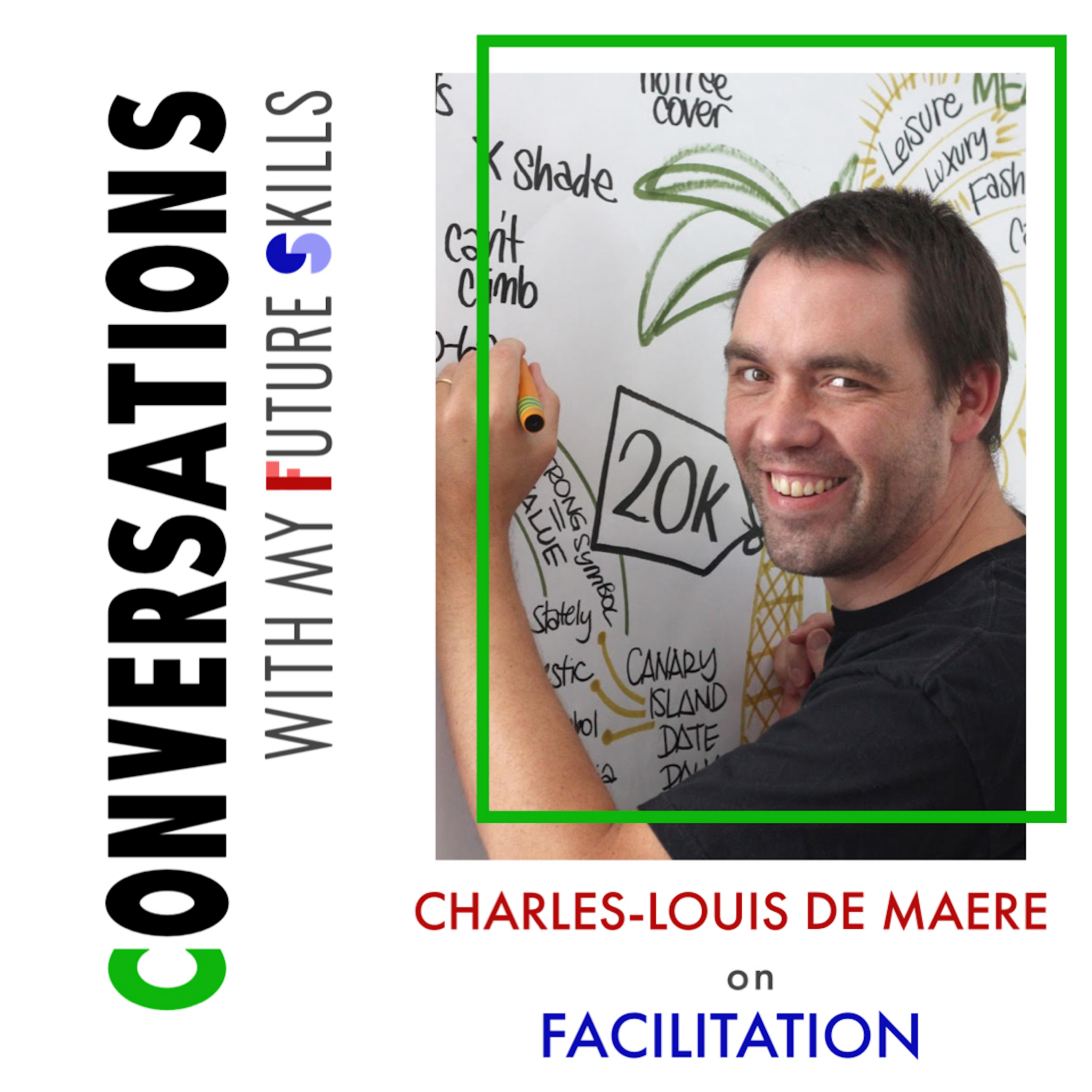 Charles-Louis de Maere on Facilitation – Academy of Future Skills